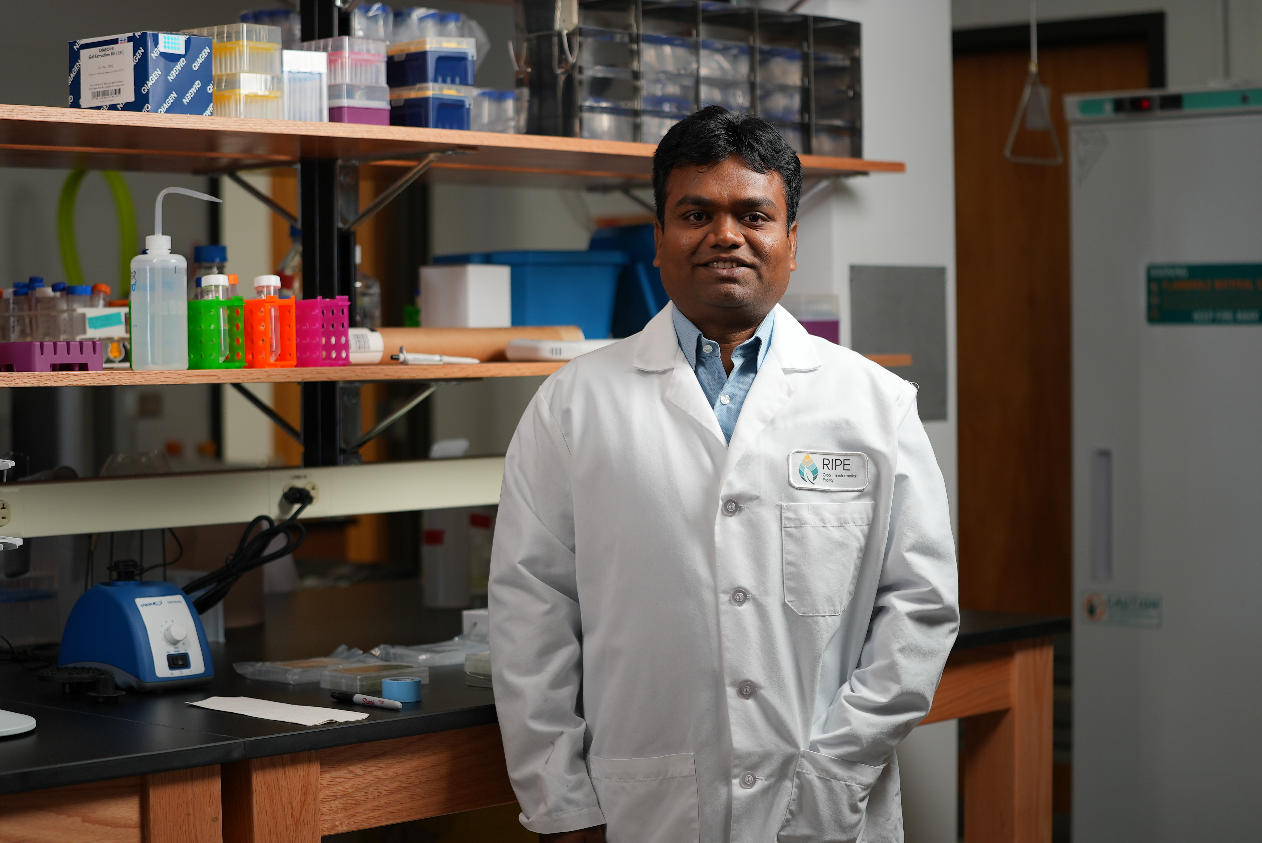 RIPE researchers report faster screening of photoprotection in crops | RIPE